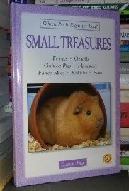 Small Treasures Which Pet Is Right for You - Ferrets, Gerbils, Guinea ...