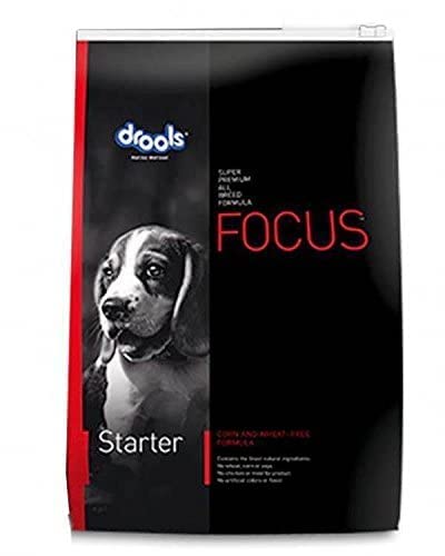 DROOLS Focus Starter Dry Food, Chicken Flavour, Ultra Premium 12KG+1KG ...