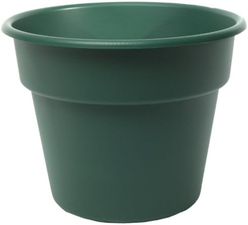 Amazon.com : Duraco DC20EG/3688 Evergreen Planter : Plant Containers ...