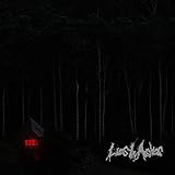 【発売日：2022年01月24日】・製造元:3641687 Records DK