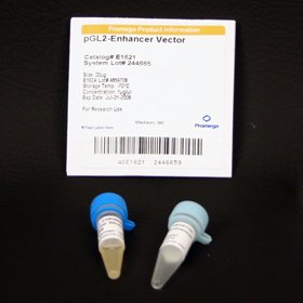pGL2-Enhancer Vector, 20μg: Amazon.com: Industrial & Scientific