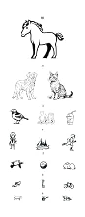 Relix Animal Snellen Vision Chart for Eye Test 50"x7" : Amazon.in ...