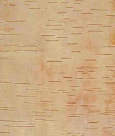 BHOJPATRA (Set of 10 PC) | bhojpatra Sheet for Mantras and puja ...