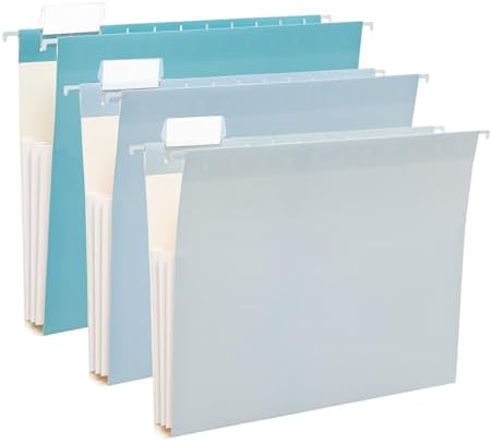Amazon.com : Beramon 6 Pack Extra Capacity Hanging File Folders Letter ...