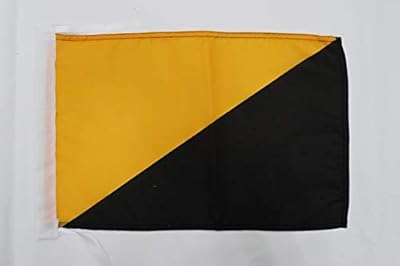 AZ FLAG Anarcho-transhumanism Flag 18'' x 12'' cords - Anarchist ...