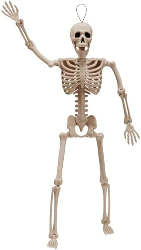 Amazon.com : JOYIN 16” Halloween Posable Skeleton Decor, Full Body ...