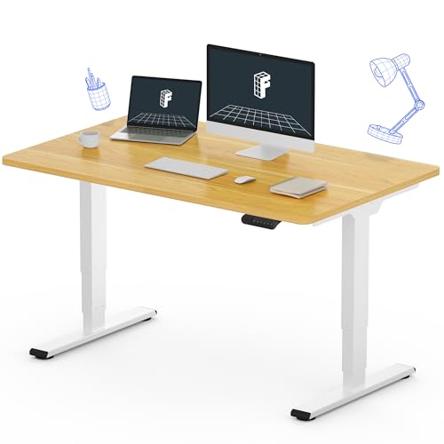 FLEXISPOT E6 Essential 3 Stages Dual Motor Electric Standing Desk 48x30 ...