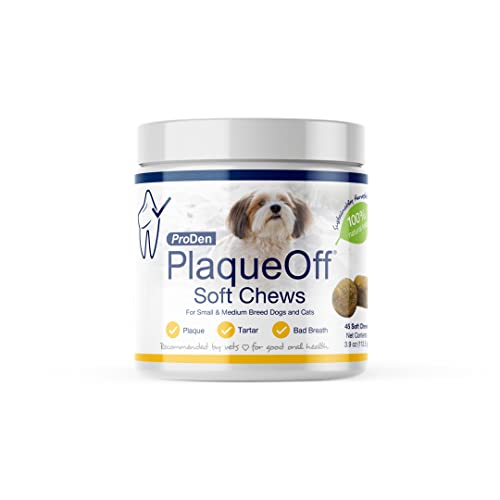 Say Goodbye to Canine Plaque in a Snap: Top 10 Dog Plaque Off Products ...