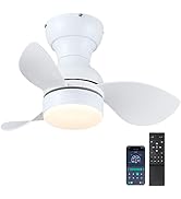 Small Ceiling Fans with Lights - 22" Modern Ceiling Fan Light with ...