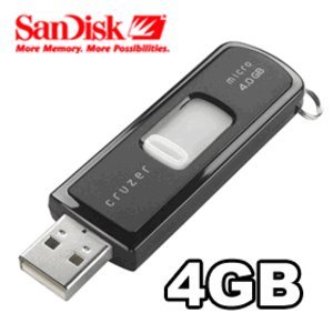 SanDisk Cruzer Micro - USB flash drive - 4 GB - Hi-Speed USB - black ...