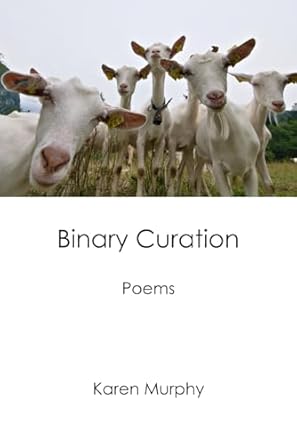 Amazon.com: Binary Curation: Poems: 9781962676014: Murphy, Karen: Books