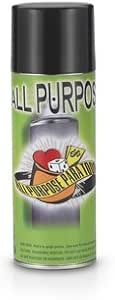 All Purpose Spray : Amazon.ca: Beauty & Personal Care