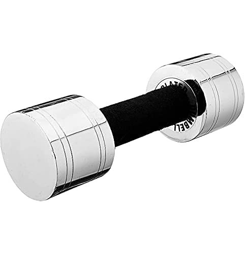 Buy Shone 10kg Dumbbells Set of 1 / Dumble Set for Home Gym/Dumbells ...