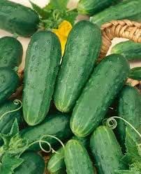 Amazon.com : Pick A Bushel Cucumber Seeds - 25/50/100 Seed Count (25 ...