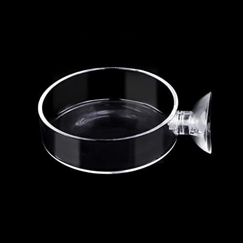 Cobella Aquarium Shrimp Feeding Dish Round Clear Glass Feeder Bowl Food ...