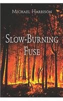 Slow-Burning Fuse: Harbison, Michael: 9781413761962: Amazon.com: Books