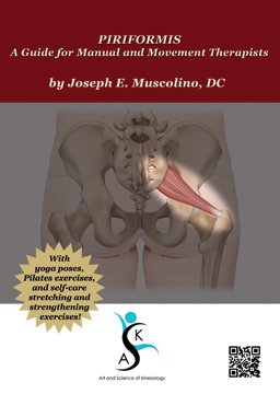 Amazon.com: Piriformis: A Guide for Manual and Movement Therapists ...