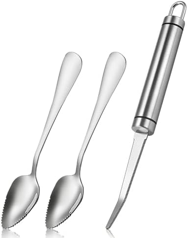 Amazon.com: Hunnycook Grapefruit Stainless Steel Flatware Set, 8 Grapefruit Spoons, 2 Grapefruit ...