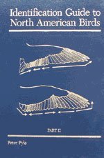 Identification Guide to North American Birds. Part II: Anatidae to ...