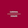 Amazon.com: Donjer Suede-Tex Flocking Fiber, 1 lb Bag, Cardinal (Rayon)