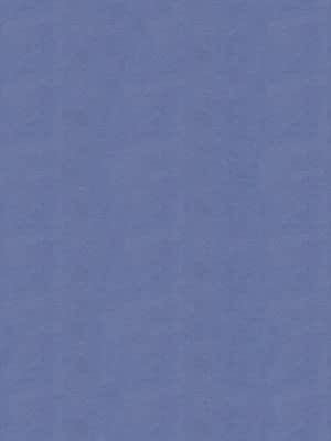 Amazon.com: Sample - NOVASUEDE FRENCH BLUE