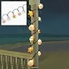 Amazon.com : SEASHELL LIGHT SET (6 PIECES) : String Lights : Home & Kitchen