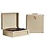 Amazon.com: Arkrocket Coryphaeus Vinyl Record Player 3-Speed Bluetooth ...