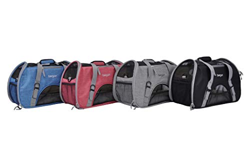 Bergan Large Comfort Carrier Review (2022) | Cats Patrol