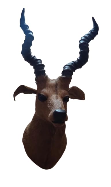 Siddhi Toys & Home Decore Fur Single Sing Deer Wall Mount Head ...