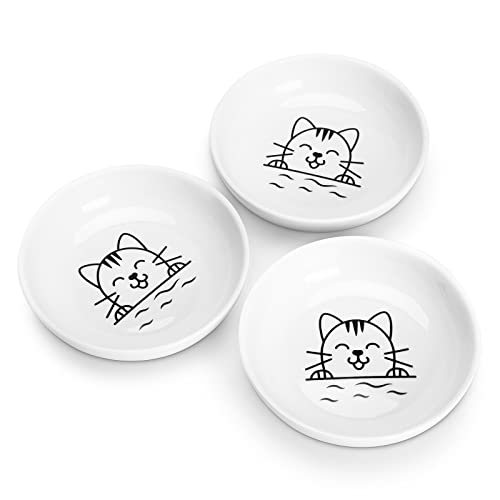 Cat Dishes – The 15 best products compared - Wild Explained