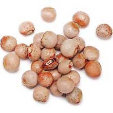 Amazon.com: Jack Rabbit Pigeon Peas - Paquete de 50 libras, 1 paquete ...