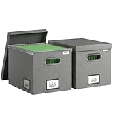 Amazon.com: GRSQYS File Organizer Box File Boxes for Hanging Files with ...