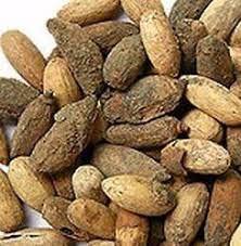 SelfLine | Neem Tree Seeds [ Pack Of 80 Seeds ] : Amazon.in: Garden ...