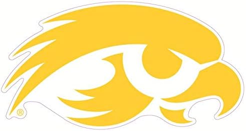 Amazon.com: 9 Inch UI Tigerhawk Logo Decal University of Iowa Hawkeyes ...