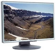 Fujitsu Siemens Scaleoview L19-2W LCD Monitor : Amazon.co.uk: Computers ...