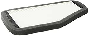 Motorcraft FP66 Cabin Air Filter for select Ford/Mercury models ...
