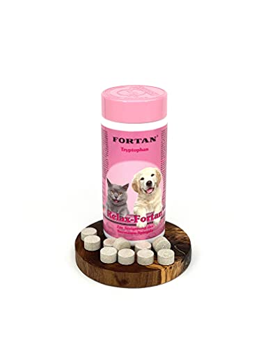 Fortan Zahnpflege – Die 16 besten Produkte im Vergleich - HundeINFOPortal