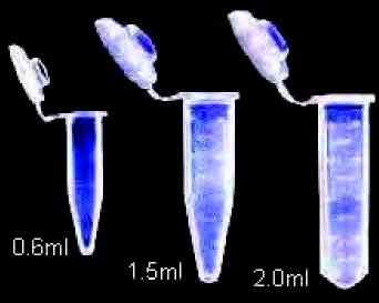 4169SLS - Siliconized 2.0mL G-Tube, Flat Top Microcentrifuge Tube ...