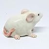 ZOOCRAFT Ceramic Mouse Rat Figurine White Animal Hand Painted Porcelain ...