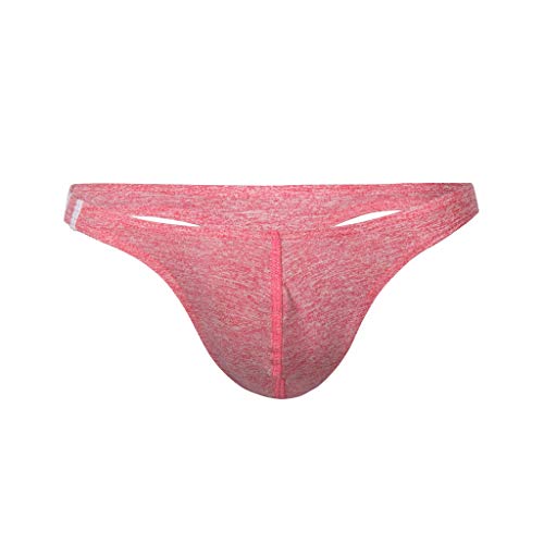 kalsonger herr brief 2024 - Arteme