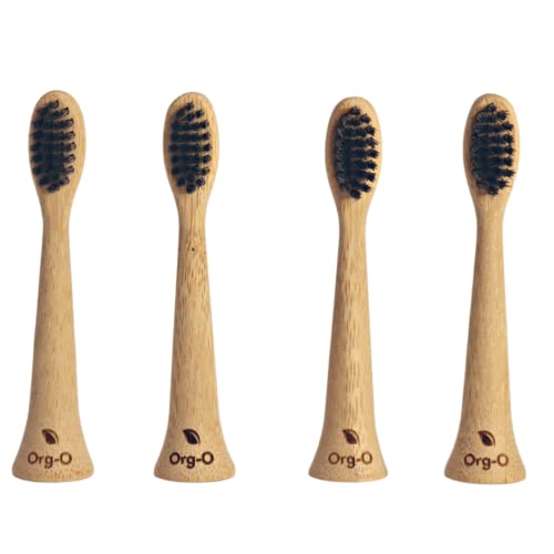Top 10 Best Eco Friendly Electric Toothbrush : Reviews & Buying Guide ...