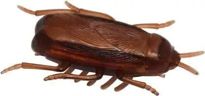 Buy RSAAUD® Electronic Shock Crawling Cockroach Novelty Plastic Roaches ...