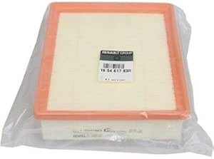 100% Original Renault Trafic III Engine Air Filter : Amazon.co.uk ...