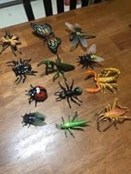 Amazon.com: SIENON Realistic Insect Toys Figures-12Pcs Large Plastic ...