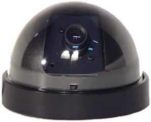 Amazon.com : Color Mini Dome Camera : Surveillance Cameras : Electronics