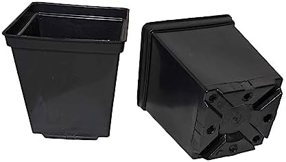 Elixir Gardens « Square Plant Pot Black Recycled Plastic Plant Pots ...