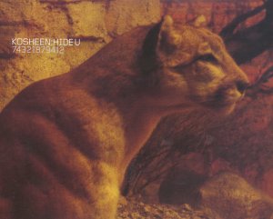 Hide U [CD 2] - Amazon.com Music