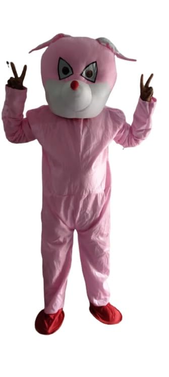 Buy Cute Rabbit Full Costume Mascot For Prank or Birthday Elders ...