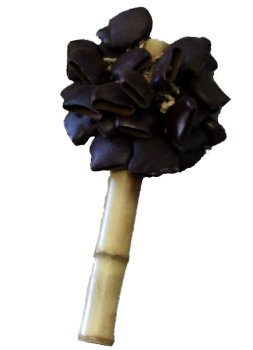 Amazon.com: Ahoko Stick, Nutshell Rattle : Musical Instruments