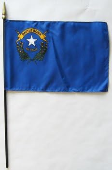 Amazon.com : Nevada - 4" x 6" State Stick Flag : Patio, Lawn & Garden